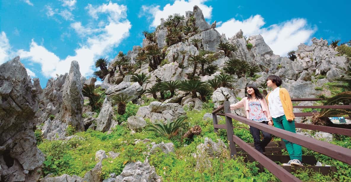 Okinawa: Full-Day Bus Tour to Yanbaru National Park | GetYourGuide