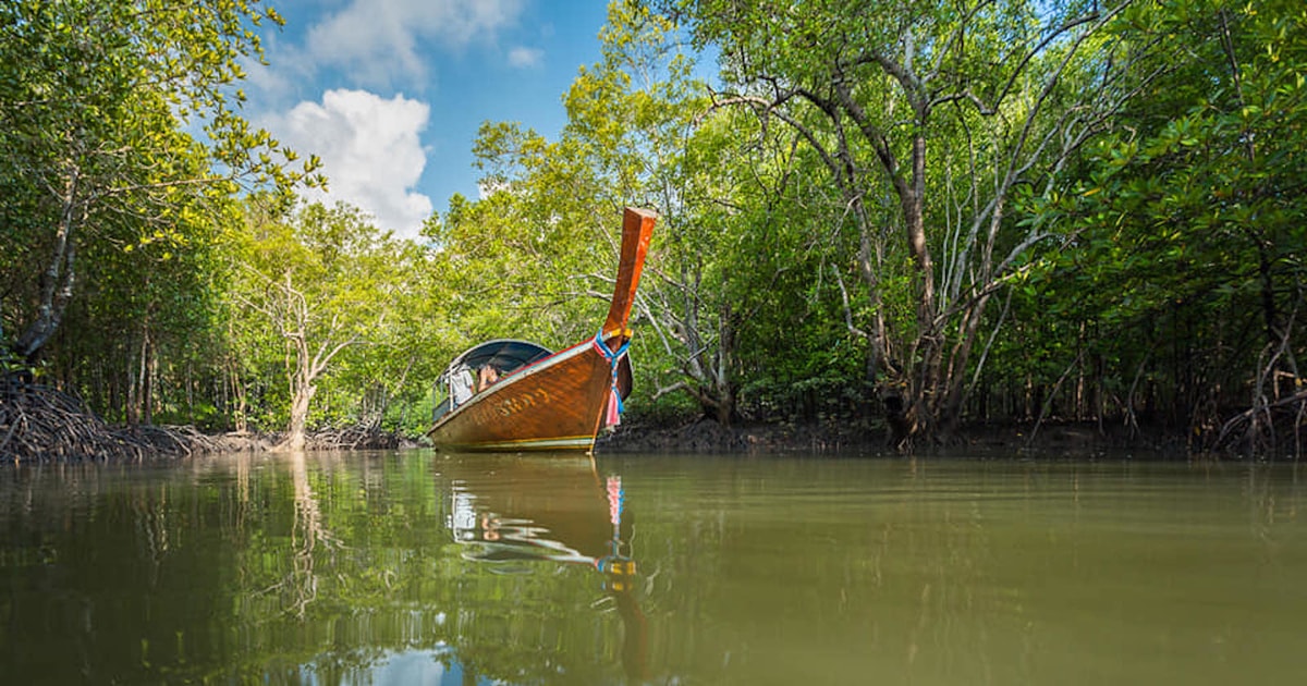 Half Day Mangrove Forest Boat Tour with Lunch or Dinner | GetYourGuide