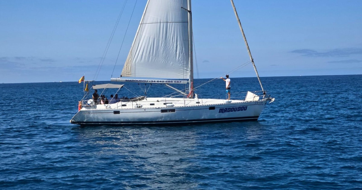 3 uur Whale Watching Share Tour Beneteau Oceanis 440 | GetYourGuide