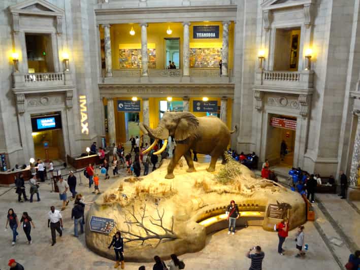 Washington DC: Museum of Natural History Private Guided Tour | GetYourGuide