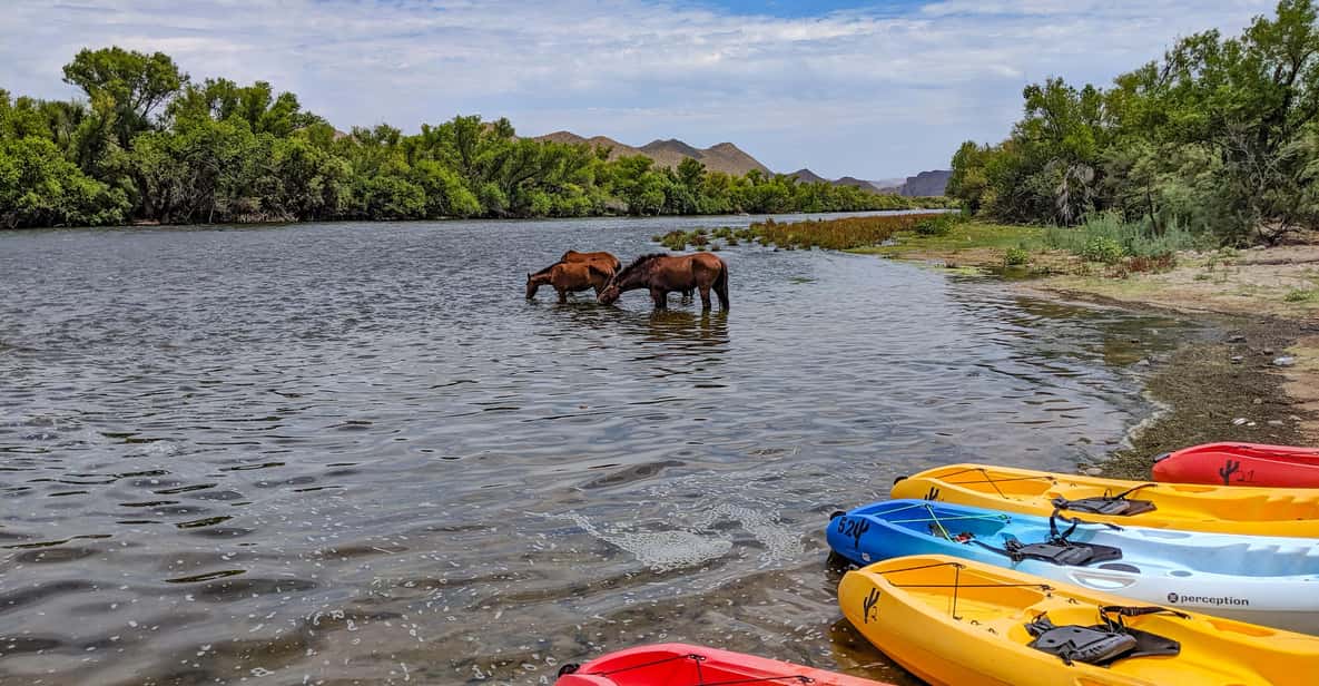 Phoenix and Mesa: Kayaking Trip to Granite Reef | GetYourGuide