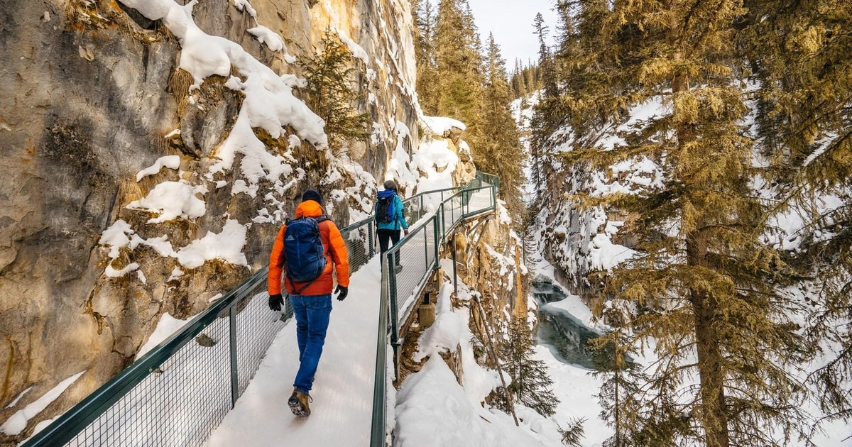 Winter Hikes, Gondolas, and Banff Day Trip | GetYourGuide