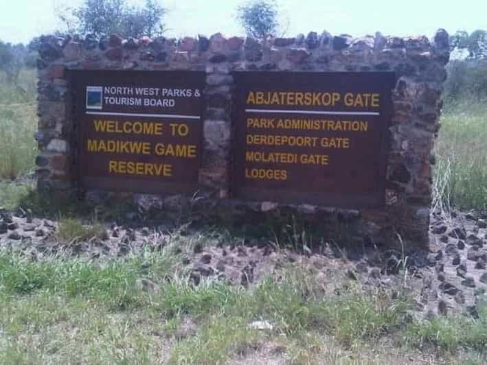 Excursión de un día a la Reserva de Caza de Madikwe | GetYourGuide
