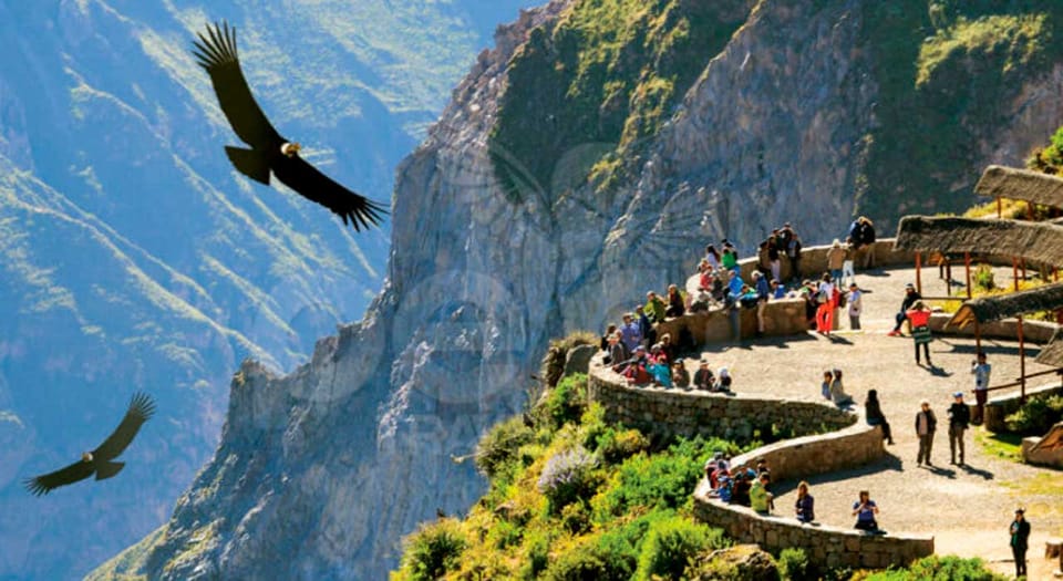 Full Day Colca Y Vuelo Del Cóndor Getyourguide