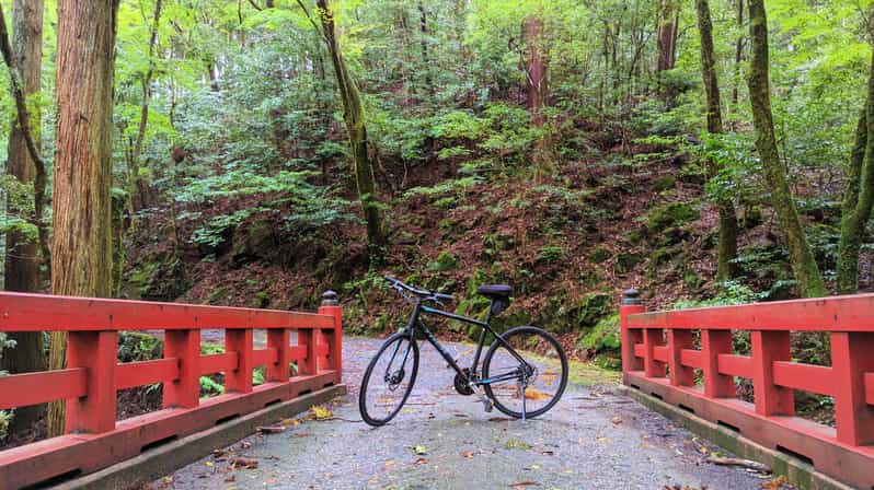 Nara: Heart of Nature Temple, Forest, & Waterfall Bike Tour | GetYourGuide