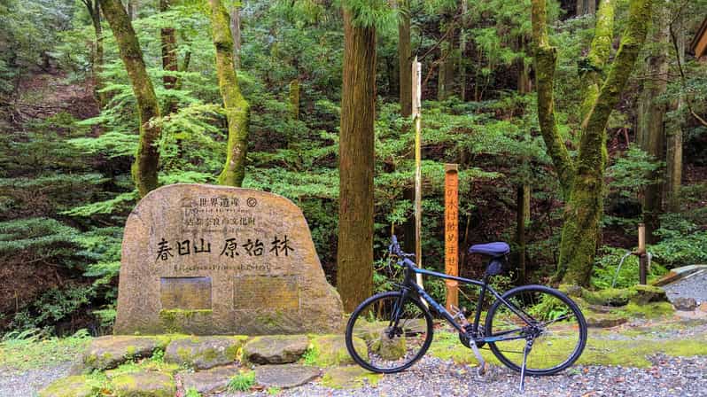 Nara: Heart of Nature Temple, Forest, & Waterfall Bike Tour | GetYourGuide