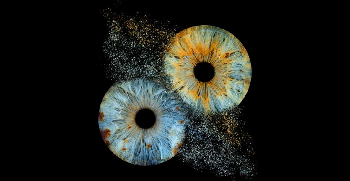 Paris Rivoli: Reveal the beauty of your iris with Iris Galerie ...