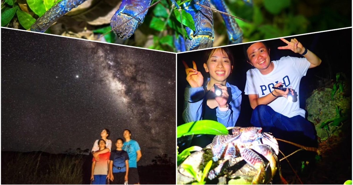 Isla de Miyako: Tour nocturno a pie por las estrellas y la selva ...