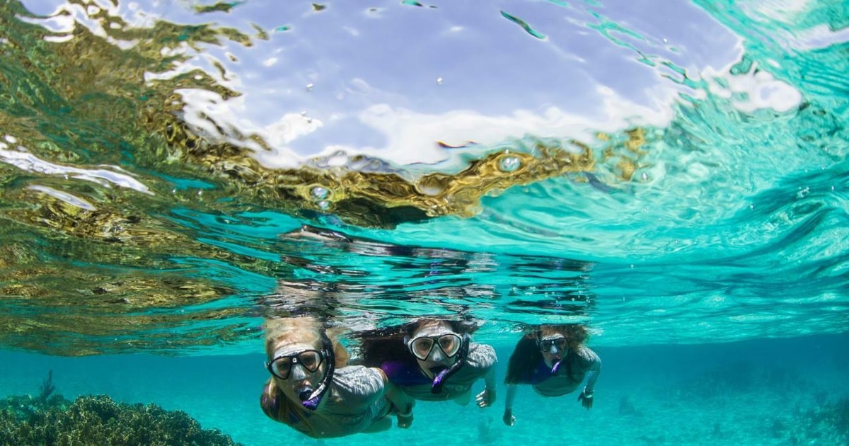 Mooloolaba: Snorkel with Turtles Mudjimba Island | GetYourGuide