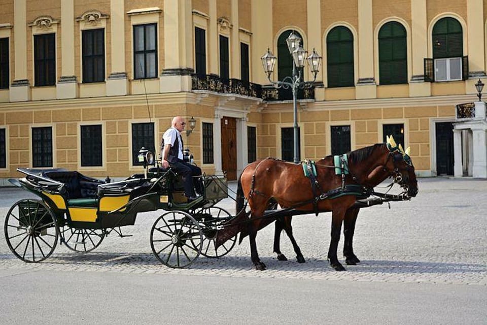 Vienna: Carriage Ride Through Schönbrunn Palace Gardens | GetYourGuide