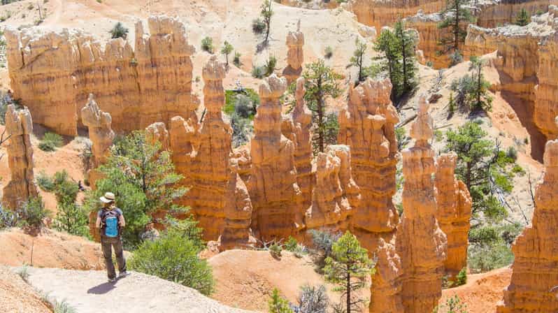 From Salt Lake City: Private Bryce Canyon National Park Tour | GetYourGuide