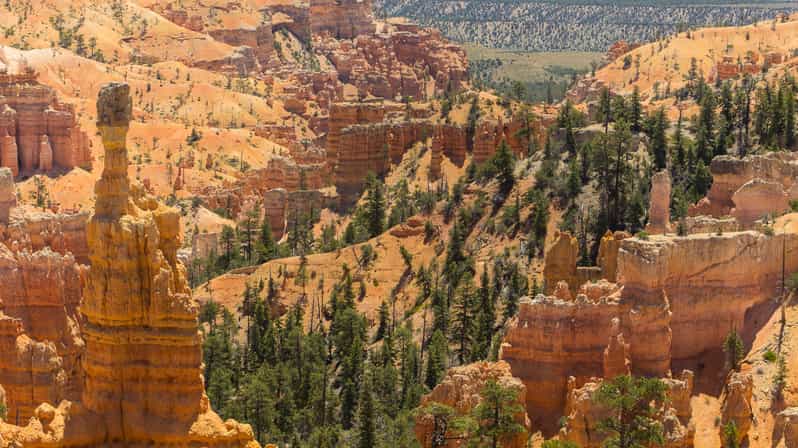 From Salt Lake City: Private Bryce Canyon National Park Tour | GetYourGuide