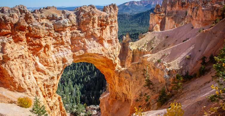 From Salt Lake City: Private Bryce Canyon National Park Tour | GetYourGuide