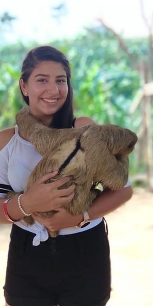 Roatán: Tour privado al Santuario del Mono y el Perezoso | GetYourGuide