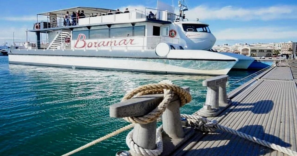 Valencia: Tourist Bus 48 hours and Catamaran combo tour | GetYourGuide