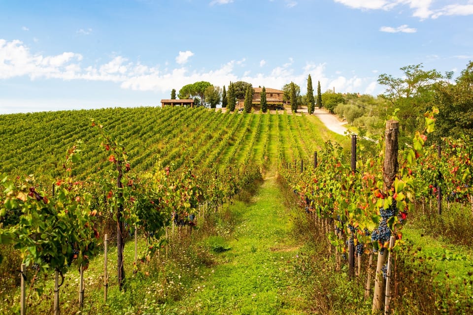 Florence: Private Half-Day Chianti Tour | GetYourGuide