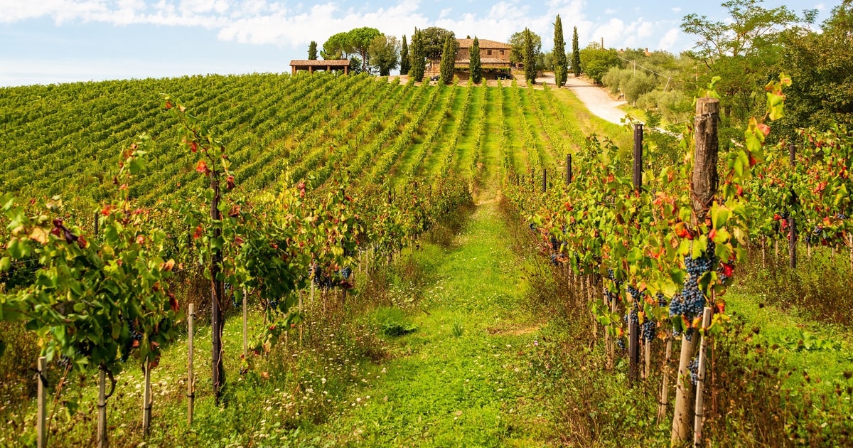 Florence: Private full day tour to Chianti Wine Region | GetYourGuide