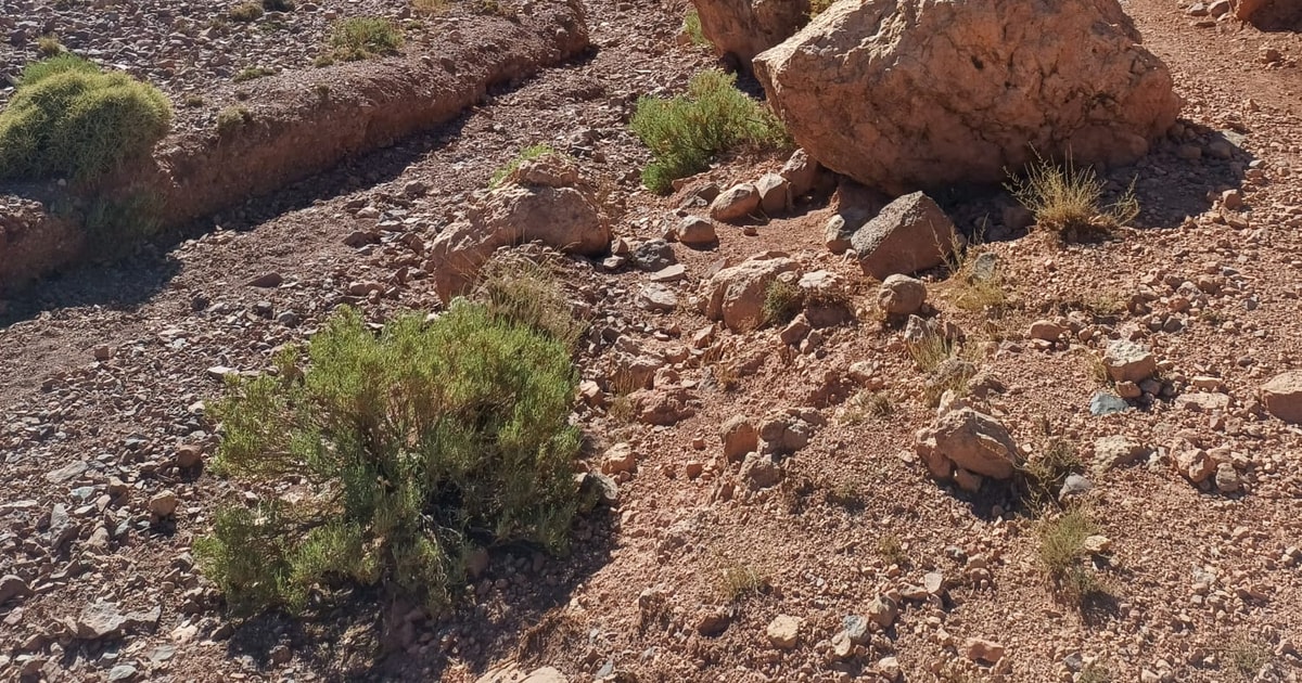 from Marrakech : 6 days hiking in Sirwa massif | GetYourGuide