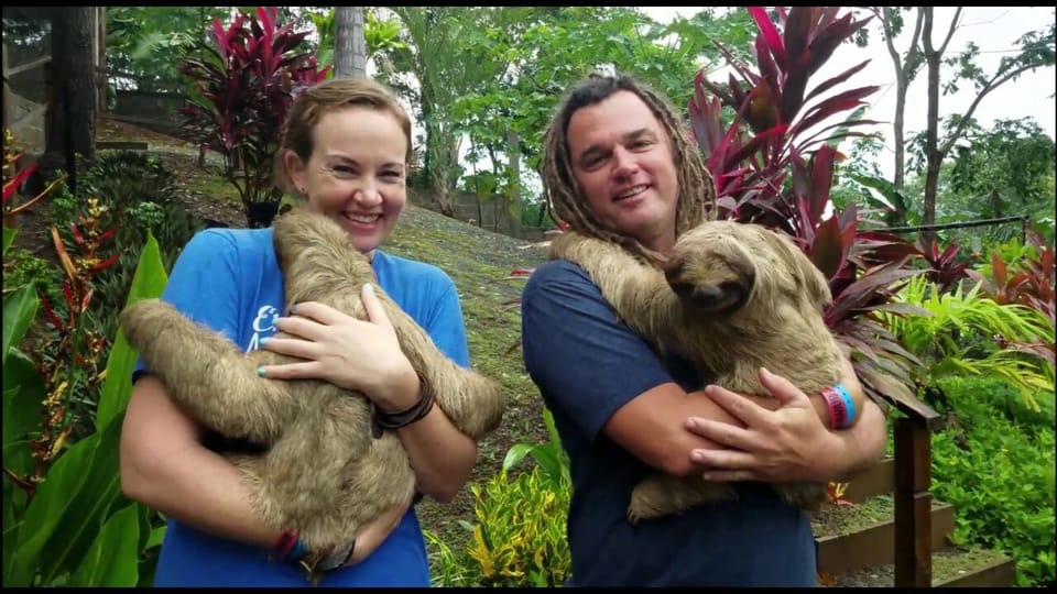 Roatán: Daniel Johnson's Monkey/Sloth Sanctuary and Snorkel | GetYourGuide