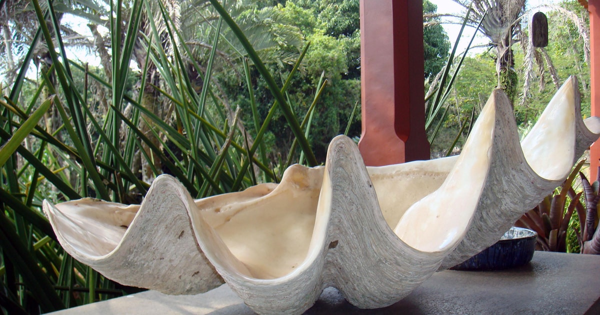 Rio: tour privato della distilleria Sitio Burle Marx e Cachaça ...