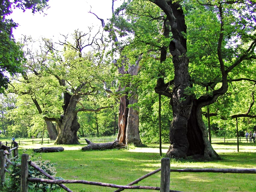 Kornik Castle and Rogalin Palace Half-Day Private Tour | GetYourGuide