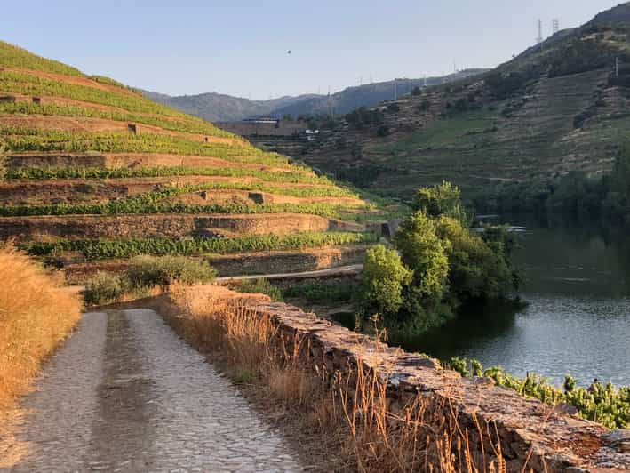 Douro Valley: Quinta do Tedo Wine Experience with Picnic | GetYourGuide