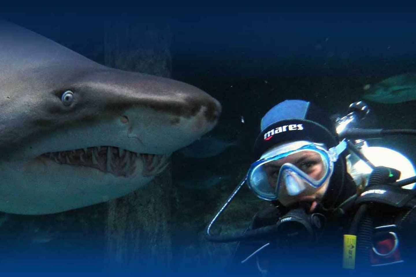 Melbourne - Melbourne Aquarium | MyCityTrip.com