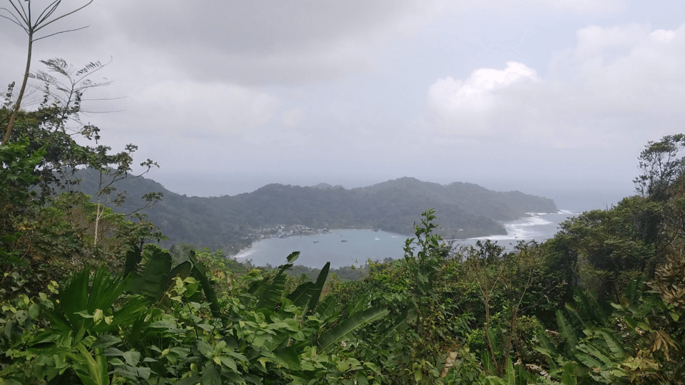 Capurganá Colombia: All-Inclusive Escape to Jungle Paradise | GetYourGuide