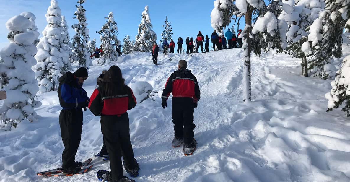 Snowshoeing Experience | GetYourGuide