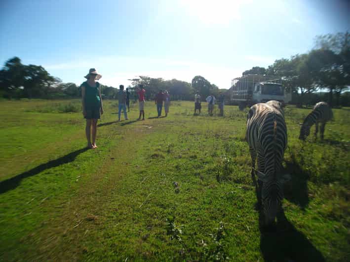 Coron: Calauit Safari Adventure | GetYourGuide