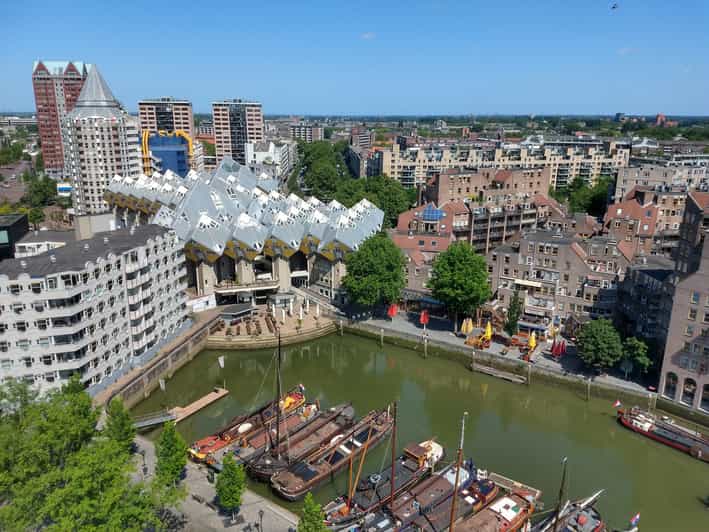 Rotterdam: Highlights & Art Walking Tour | GetYourGuide