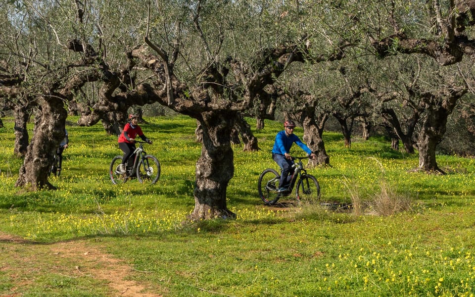 Kalamata: Olive Grove E-Mountain Bike Tour with Picnic Lunch | GetYourGuide