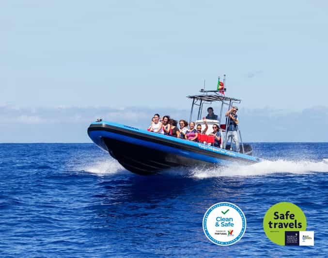 Funchal: Dolphin and Whale Watching Cruise | GetYourGuide