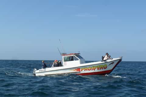 Durban Cruises & Boat Tours 2021 - Top-Rated Activities in South Africa ...