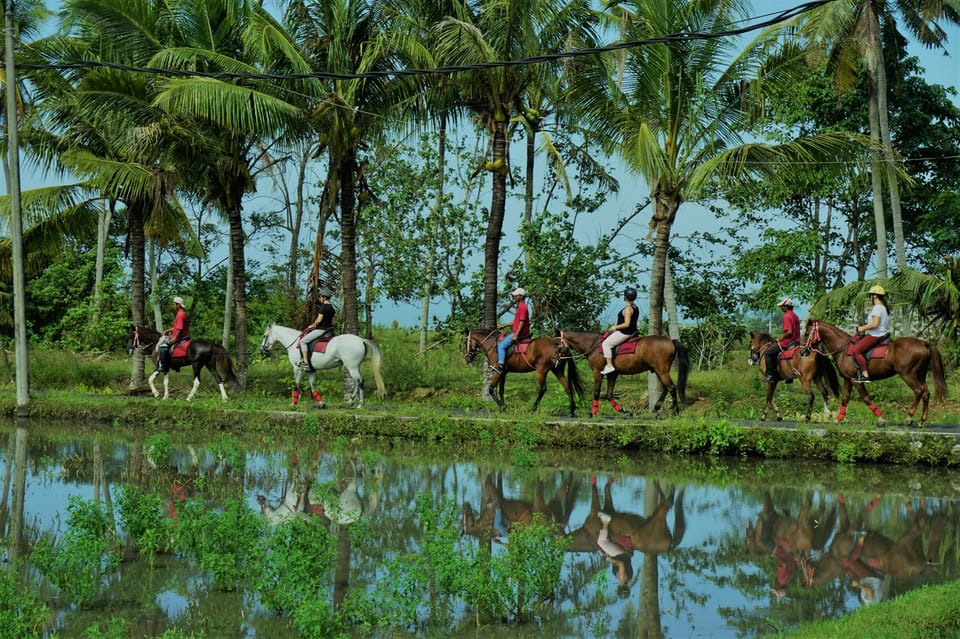 Langudu: Horse Riding on the Beach and in the Rice Fields | GetYourGuide