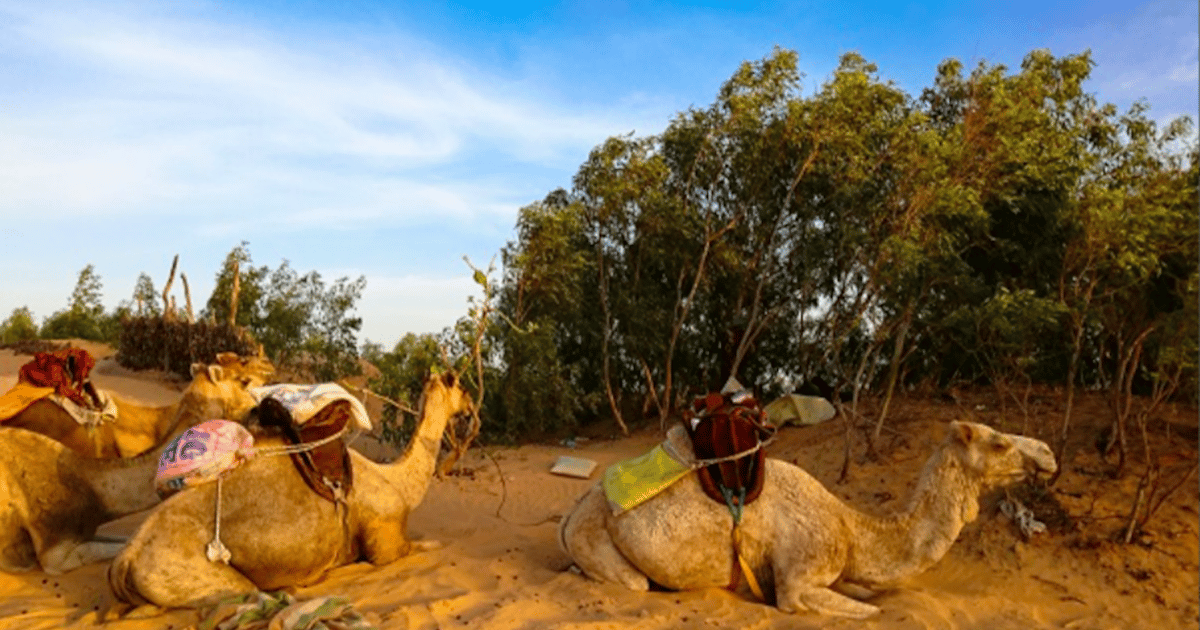 Excursión de 2 días: Lago Rosa -> Noche en el desierto de Lompoul -> St ...