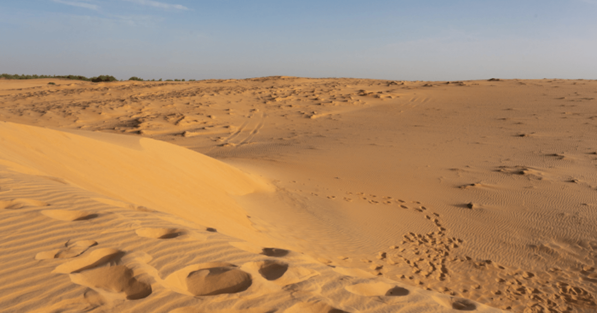 From Saly & Dakar: Day Trip Lompoul Desert with Camel Ride | GetYourGuide