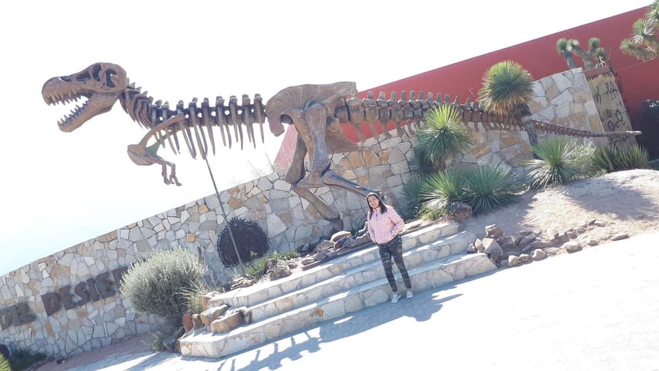 Monterrey: Desert Museum Tour | GetYourGuide