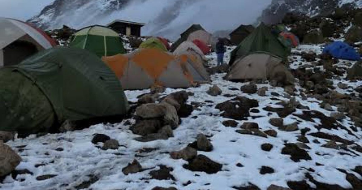 Pendakian Gunung Kilimanjaro Rute Machame 7 Hari | GetYourGuide