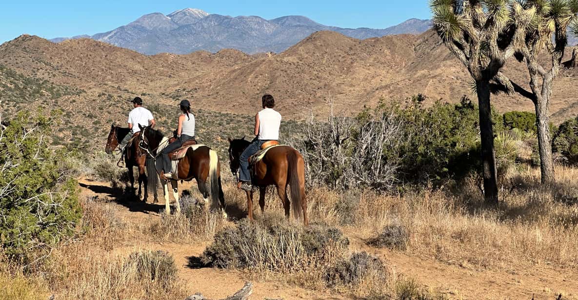 2,5-godzinna przejażdżka konna z przewodnikiem: Park Narodowy Joshua ...
