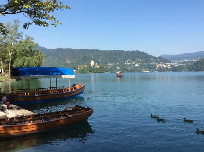 From Koper: Full Day Tour to Lake Bled and Ljubljana | GetYourGuide
