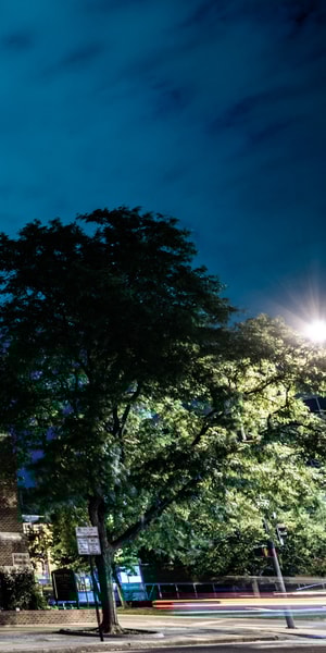 Denver: Denver Terrors Ghost Tour | GetYourGuide