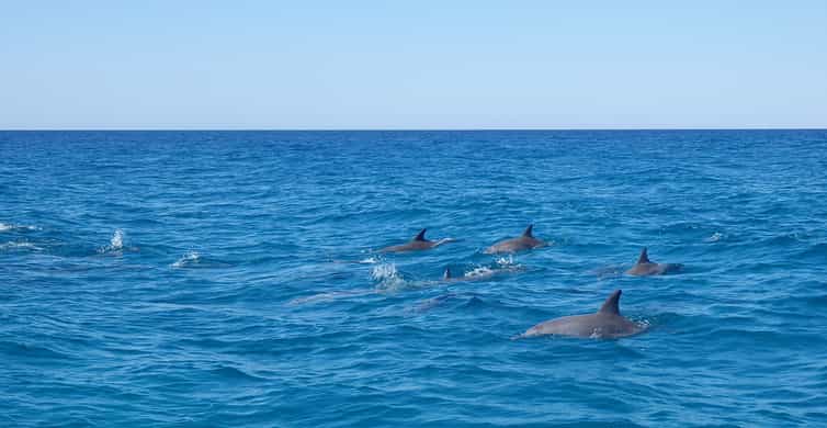 Noosa National Park, Noosa Heads - Book Tickets & Tours | GetYourGuide