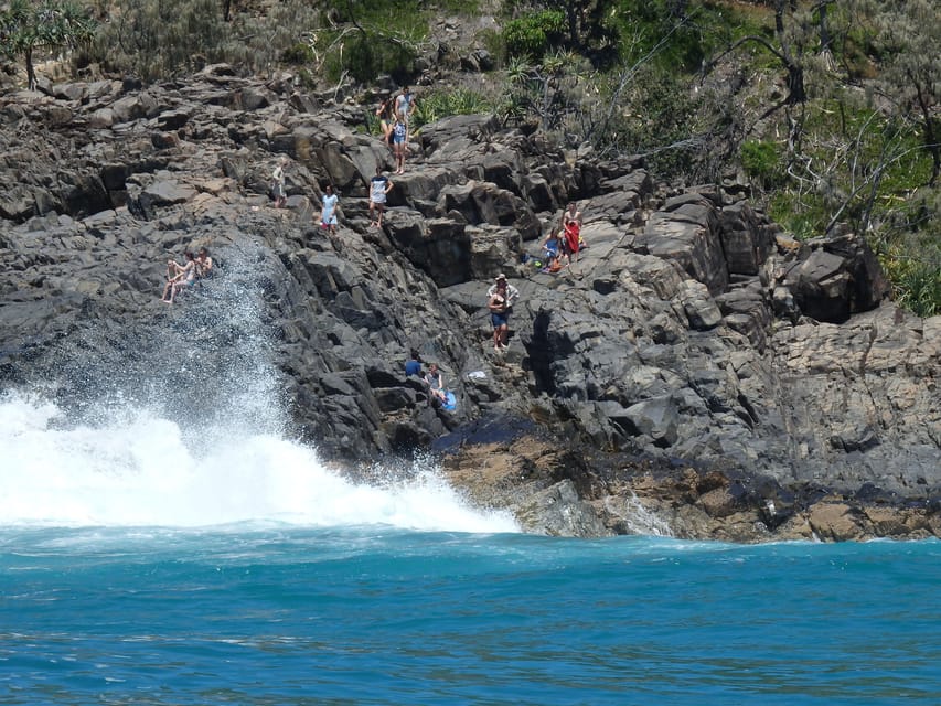 Noosa Heads: Ocean Adventure & Dolphin Safari | GetYourGuide