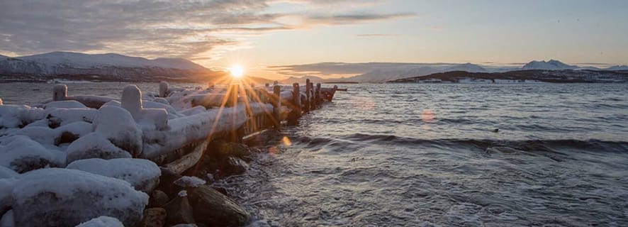 Wandering Owl | GetYourGuide Supplier