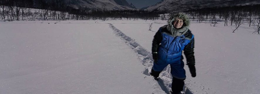 Wandering Owl | GetYourGuide-Anbieter