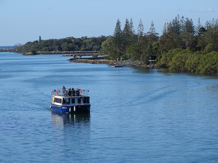 Brunswick River: Byron Sunset Eco Rainforest River Cruise | GetYourGuide