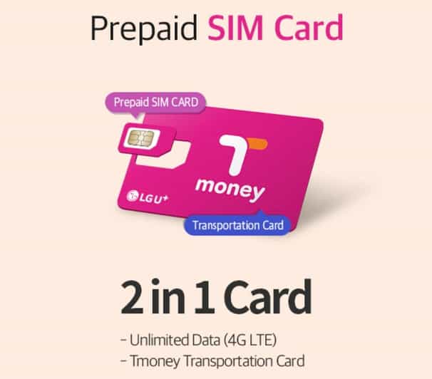 Incheon Airport: Traveler SIM & T-money Transportation Card | GetYourGuide