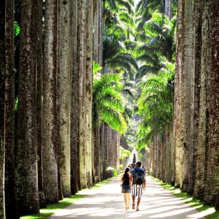 The BEST Botanical Garden, Rio de Janeiro Nature & Adventure 2022 ...