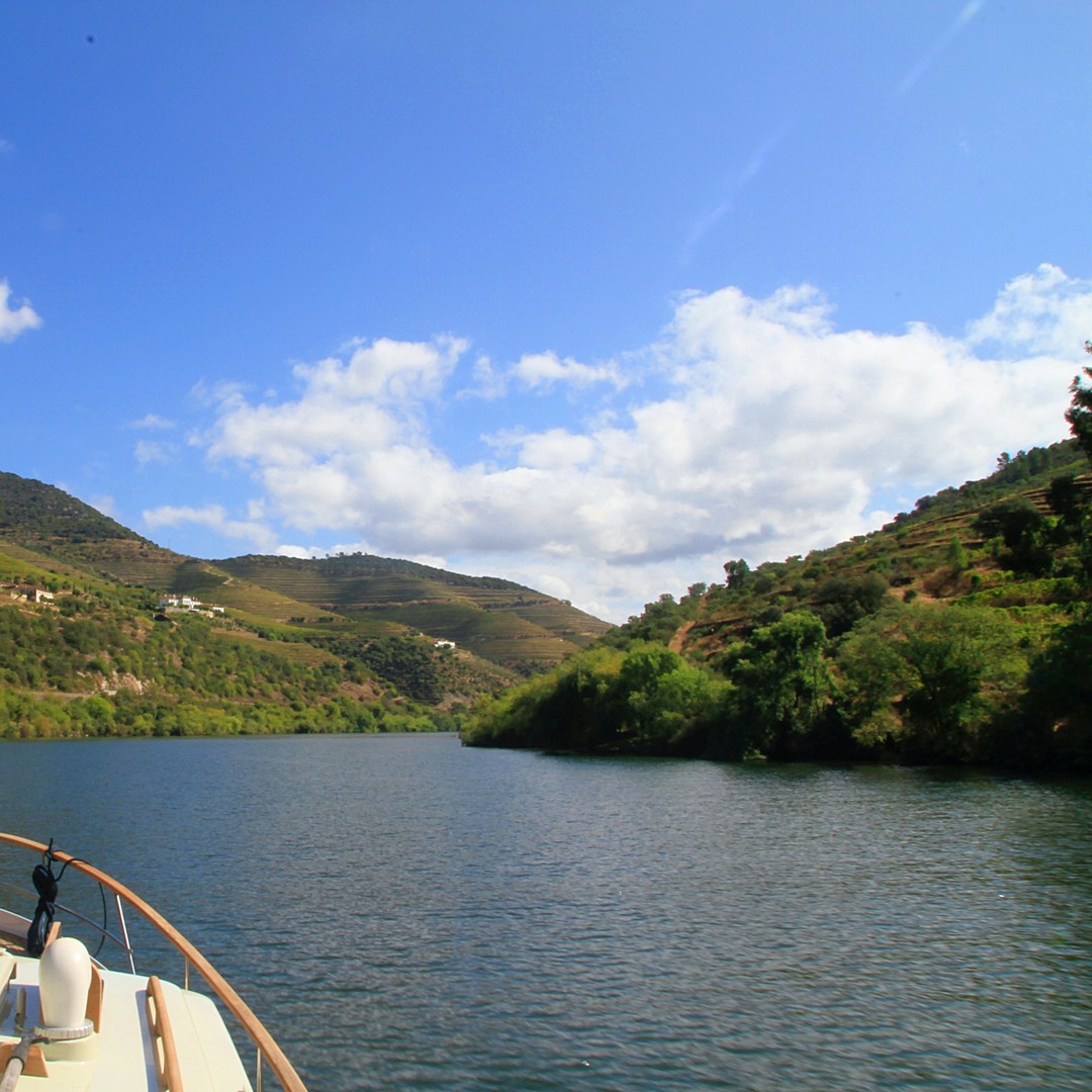 From Pinhão: Private Yacht Cruise along the Douro River | GetYourGuide